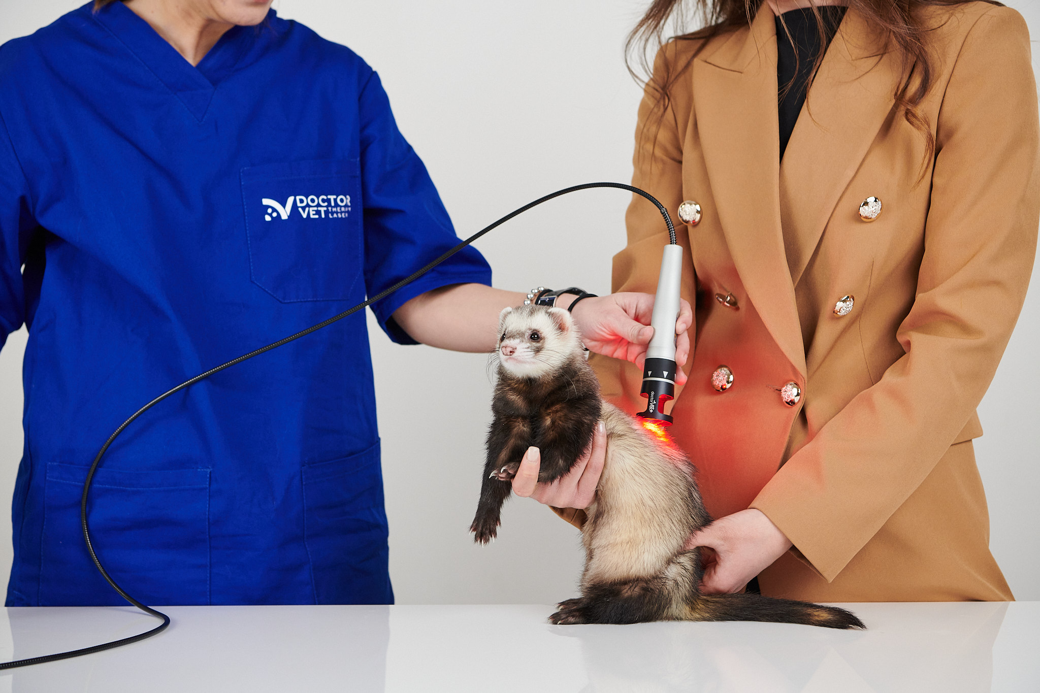 Orthopaedics and traumatology – DoctorVet