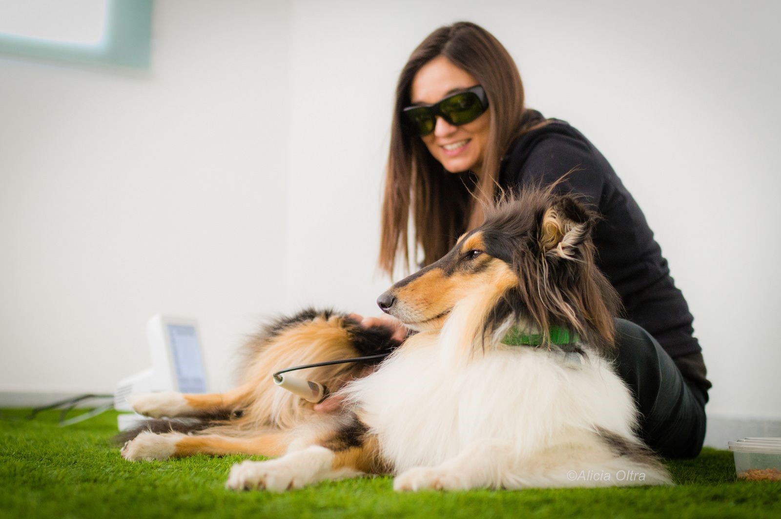 ¡Bienvenidos a la nueva web de DoctorVet! – DoctorVet