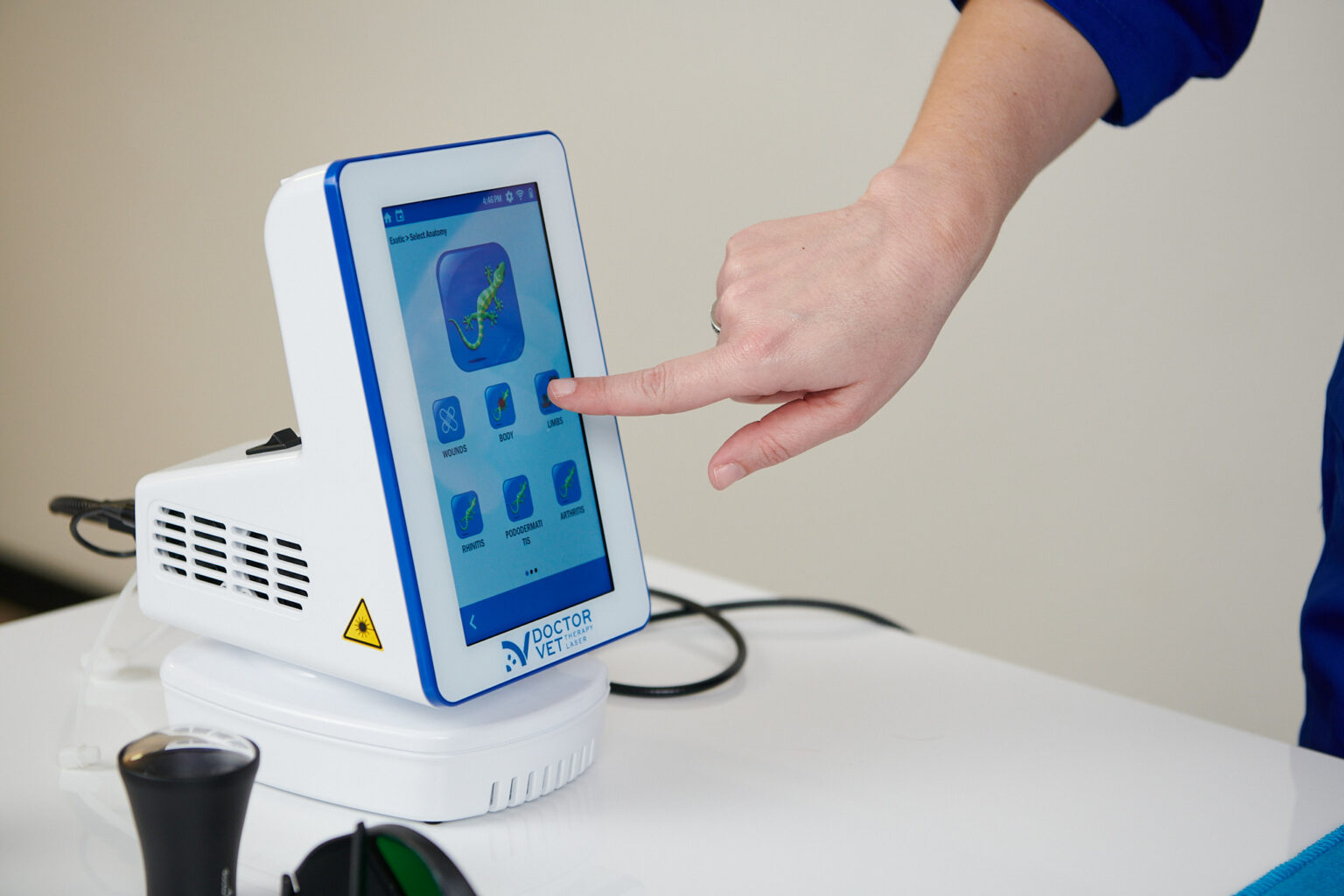 Dermatitis en caballos – DoctorVet