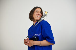 Pododermatitis in birds – DoctorVet